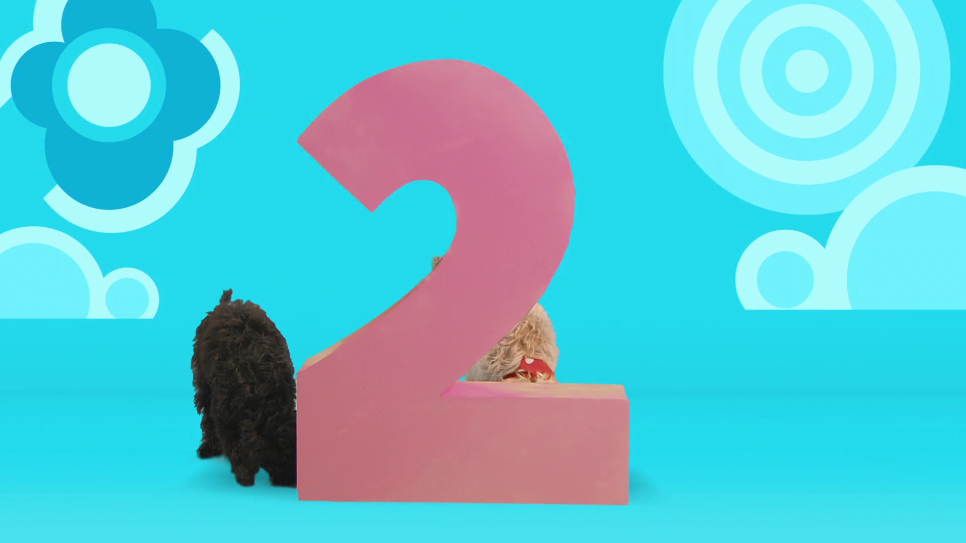 Watch The Numtums Online | Stream Season 1 Now | Stan