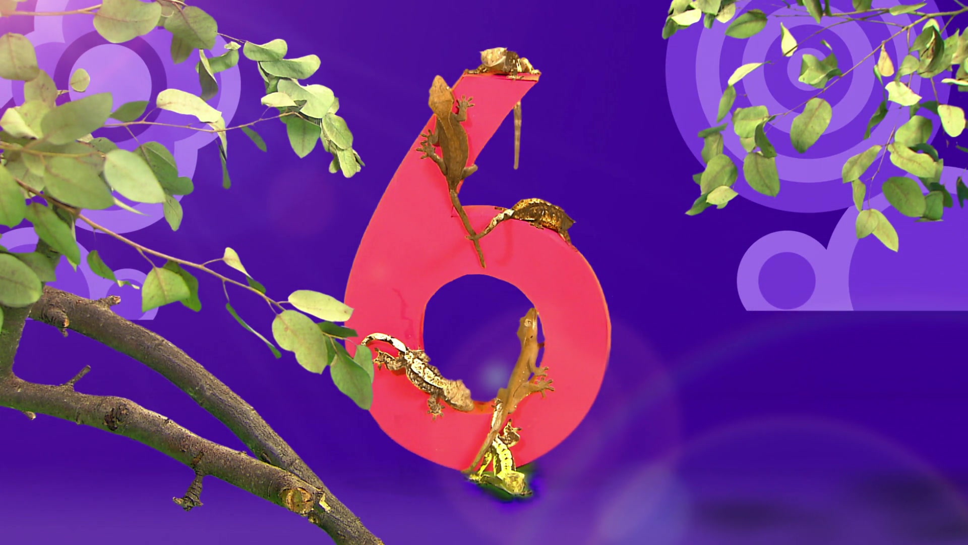 Watch The Numtums Online | Stream Season 1 Now | Stan