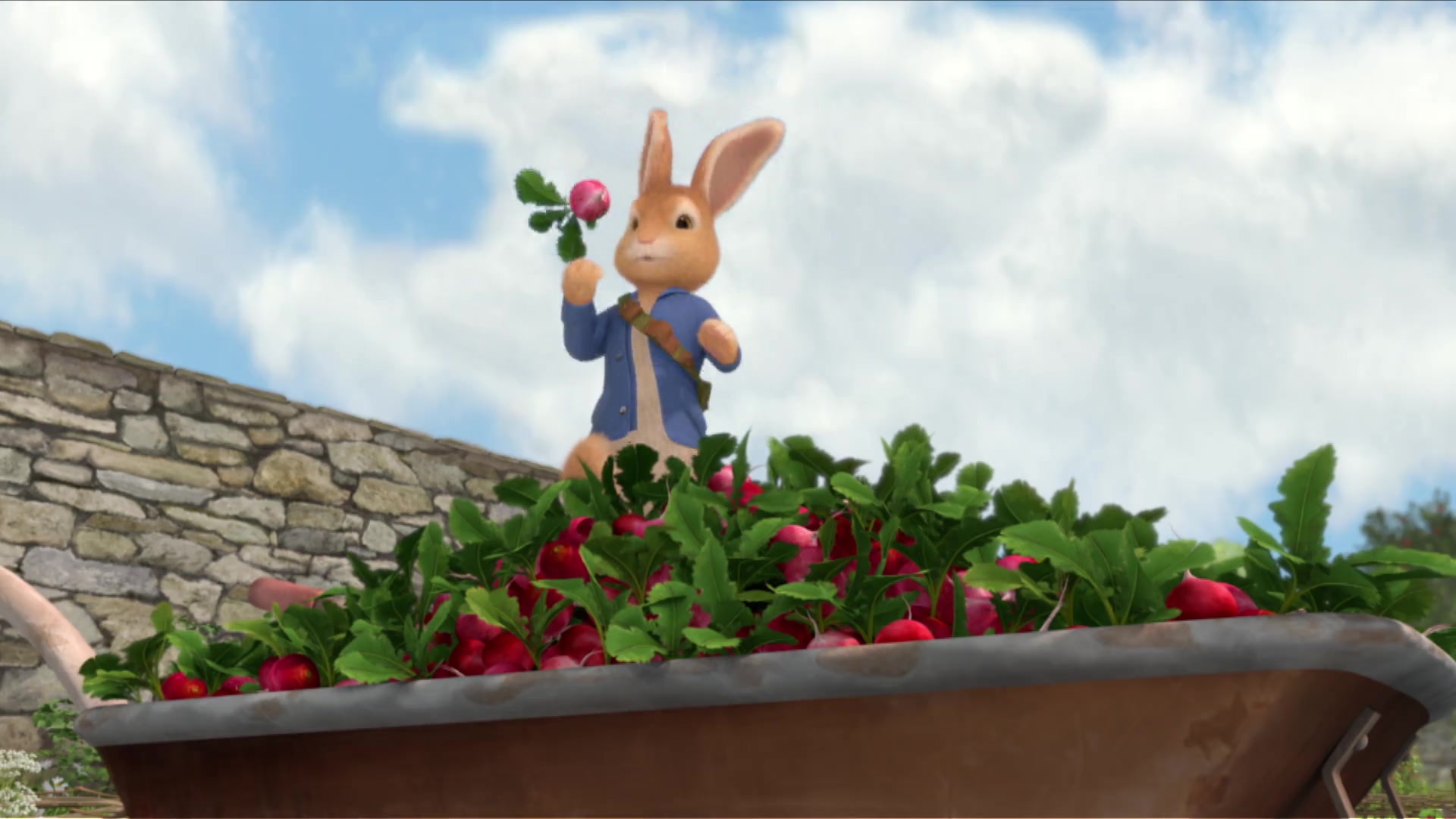 Watch Peter Rabbit Online | Stream Seasons 1-2 Now | Stan