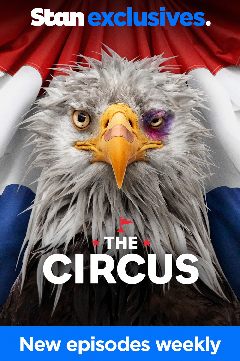 Watch The Circus Online | Now Streaming in HD | Only on Stan