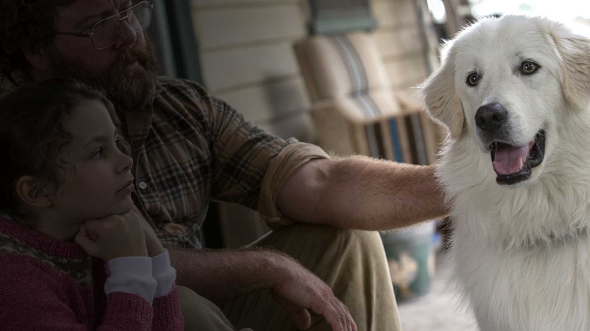 Stream Oddball Online | Download and Watch HD Movies | Stan