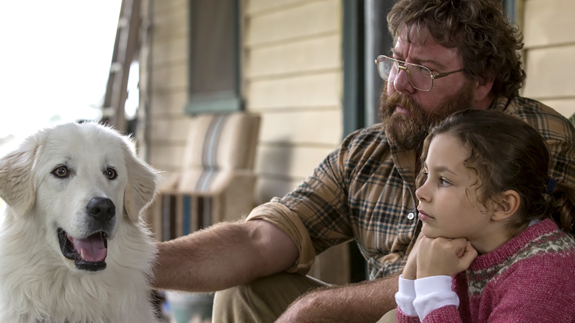 Stream Oddball Online | Download and Watch HD Movies | Stan