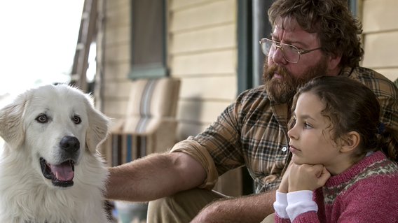 Stream Oddball Online | Download and Watch HD Movies | Stan