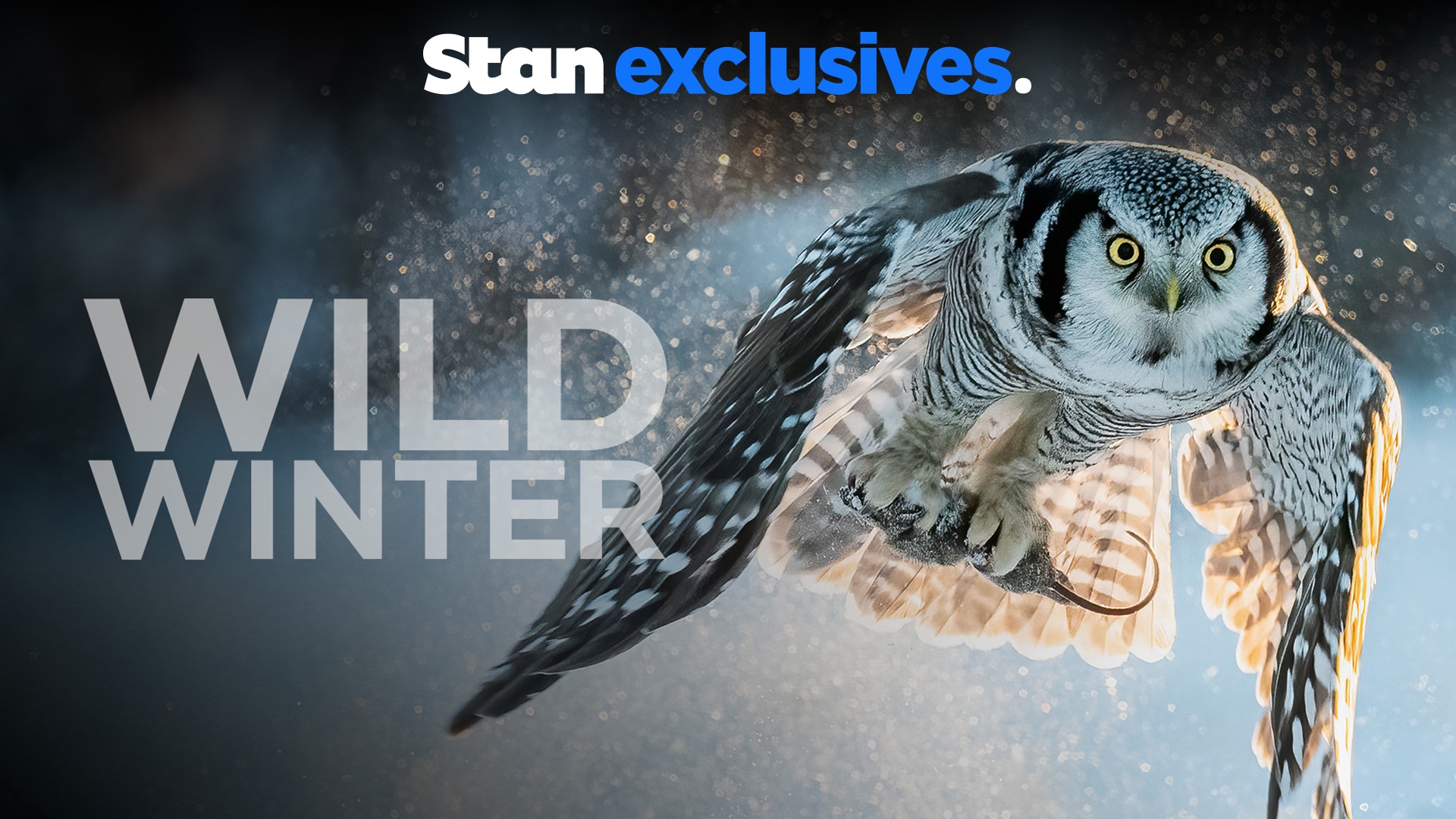 Watch Wild Winter Online | Stream Season 1 Now | Stan
