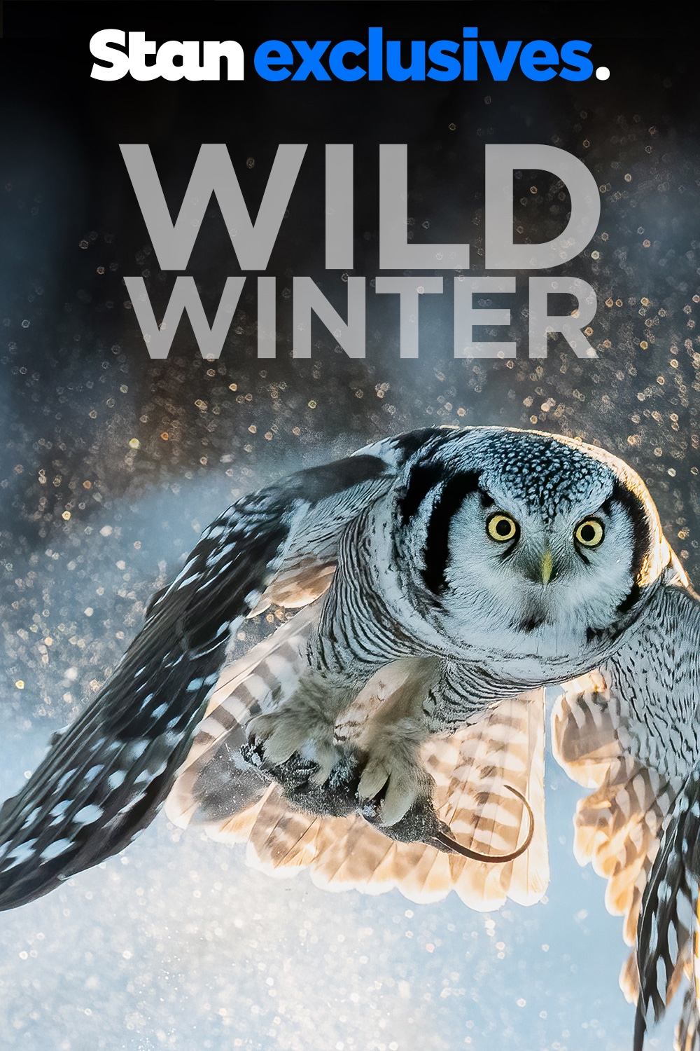 Watch Documentary TV Shows & Movies Online | Stan