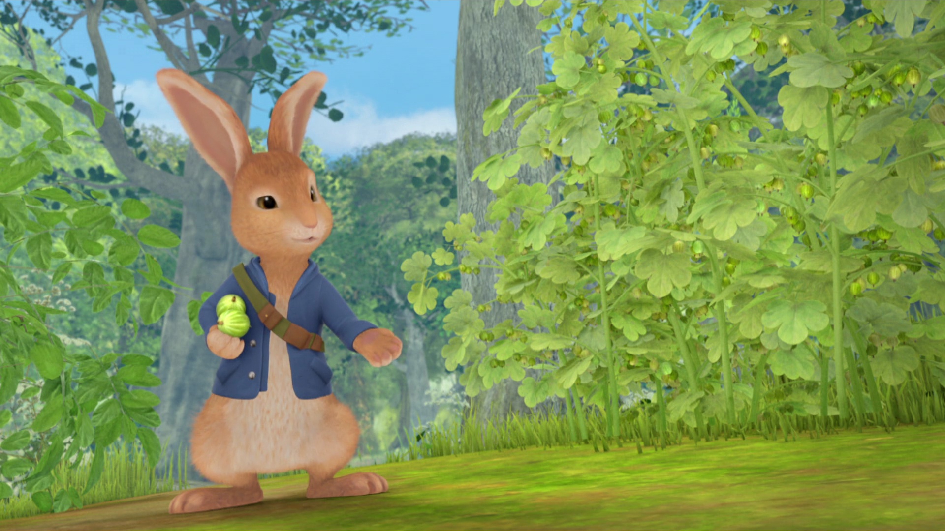 Watch Peter Rabbit Online | Stream Season 2 Now | Stan