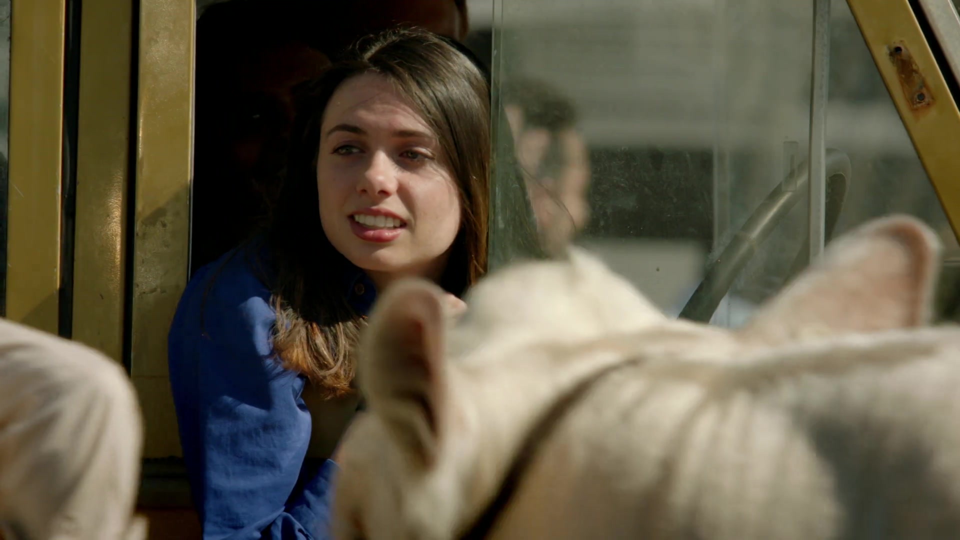 Watch Tomorrow When the War Began Online | Stream Season 1 Now | Stan