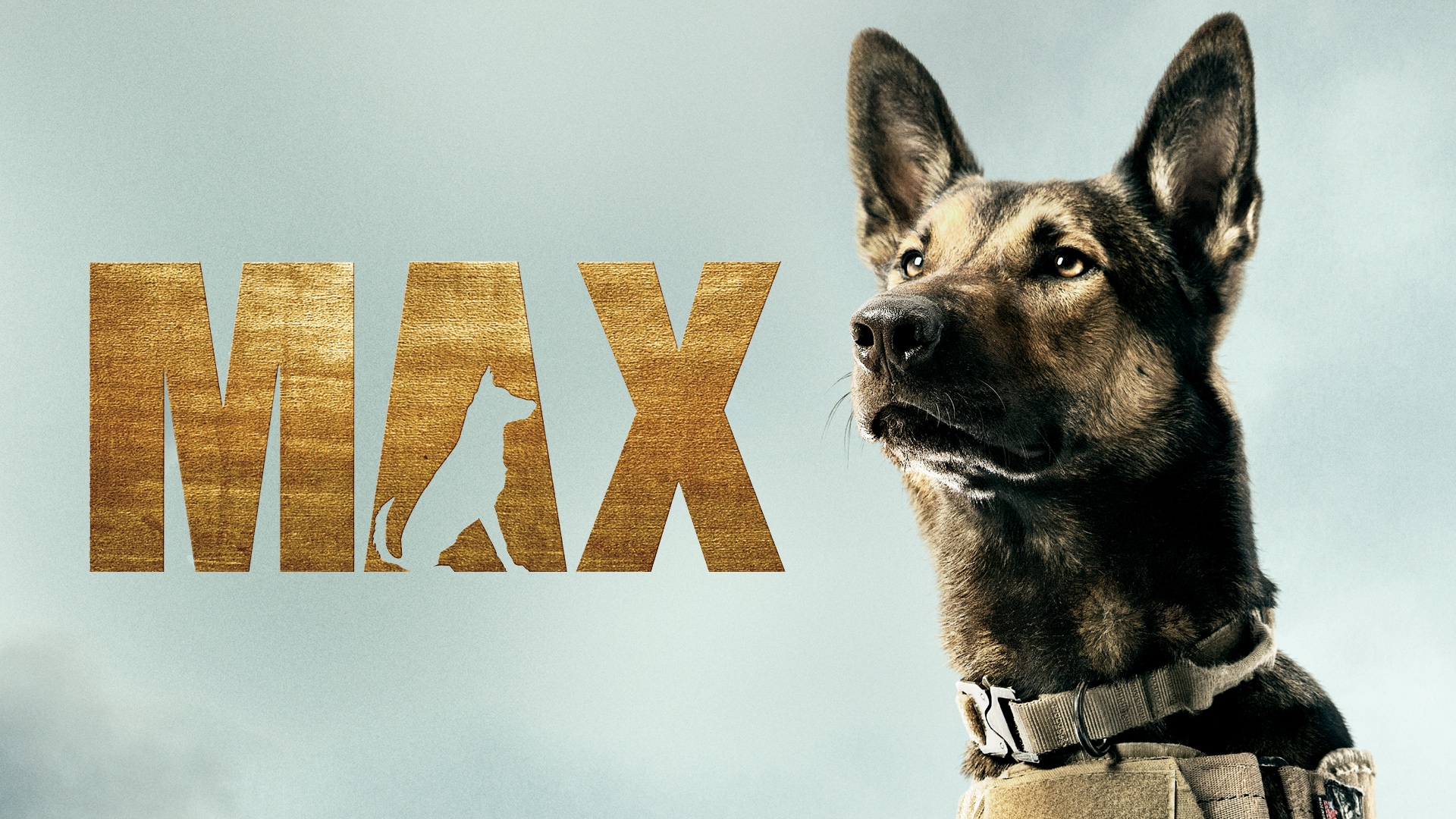 Stream Max Online | Download and Watch HD Movies | Stan