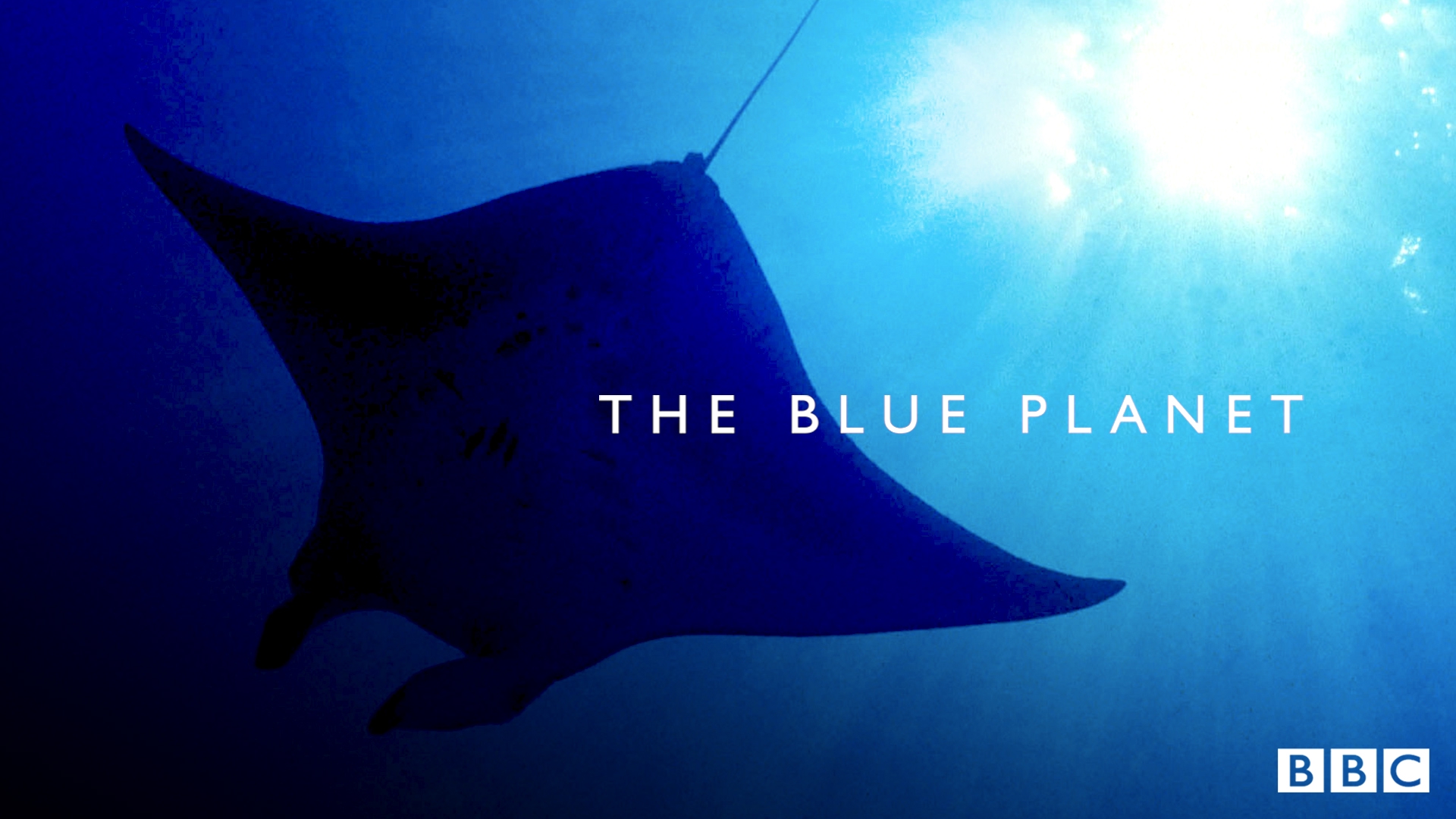 Watch Blue Planet Online | Stream Season 1 Now | Stan