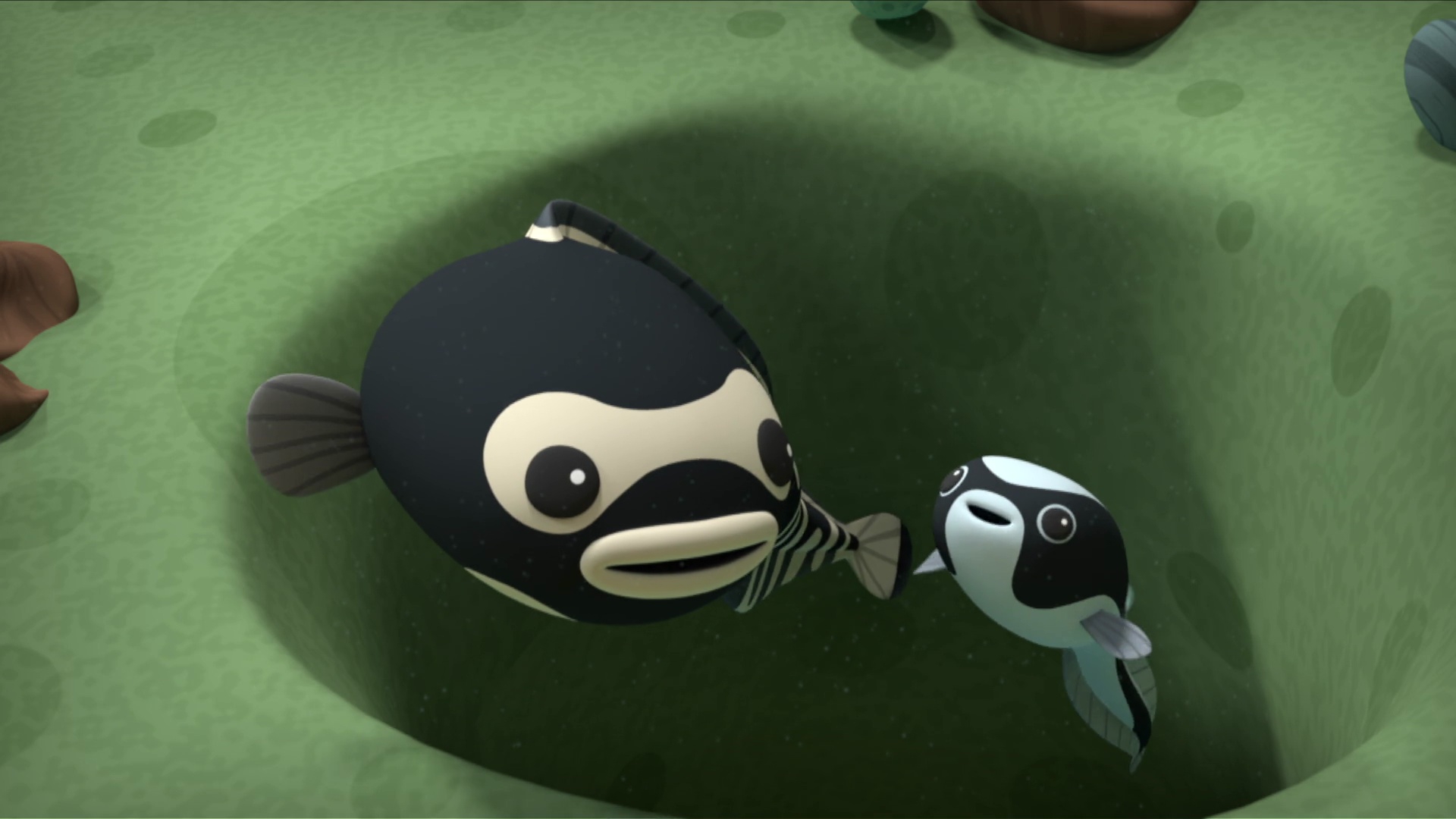 Watch The Octonauts Online | Stream Season 4 Now | Stan