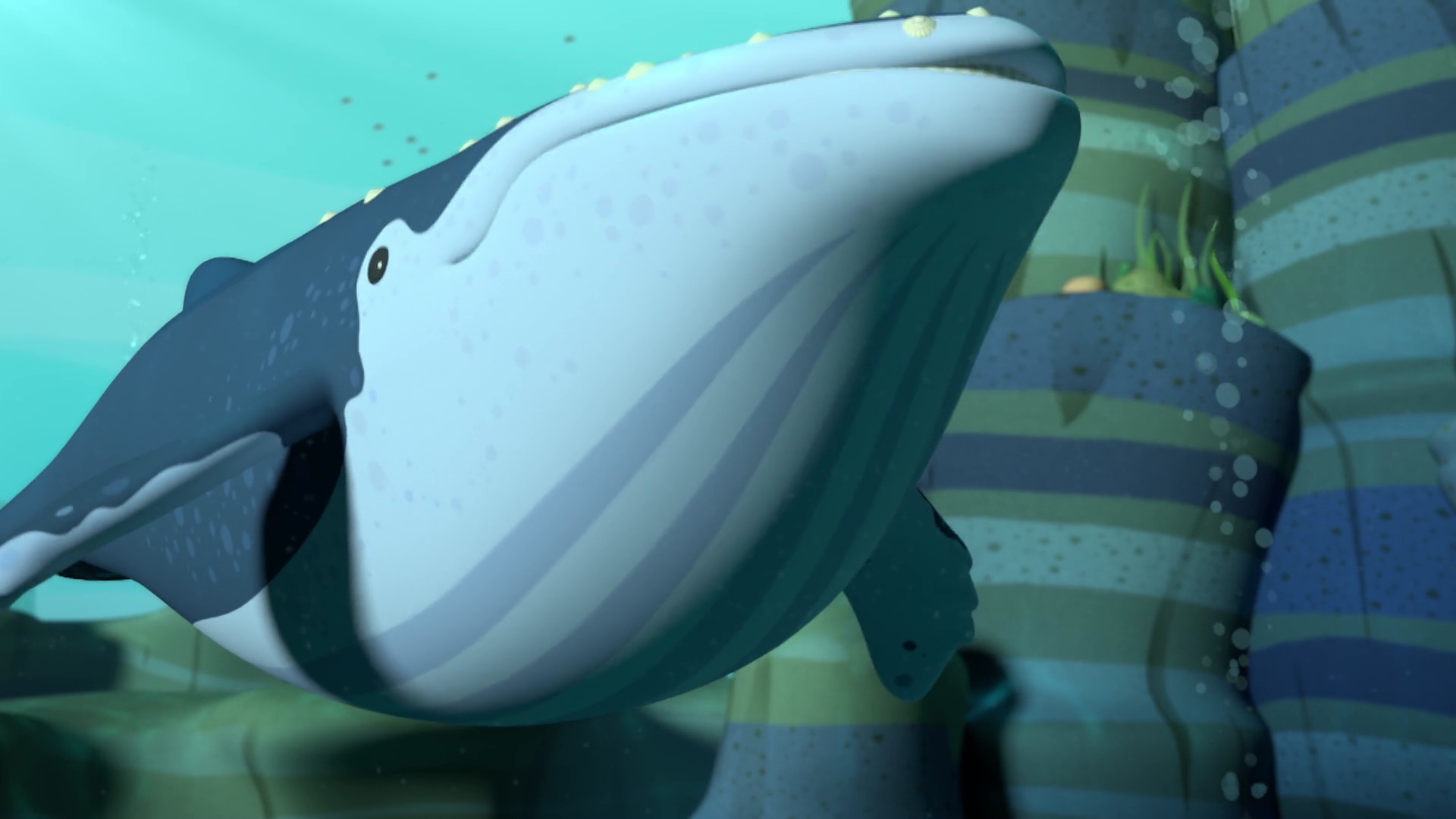 Watch The Octonauts Online | Stream Season 4 Now | Stan