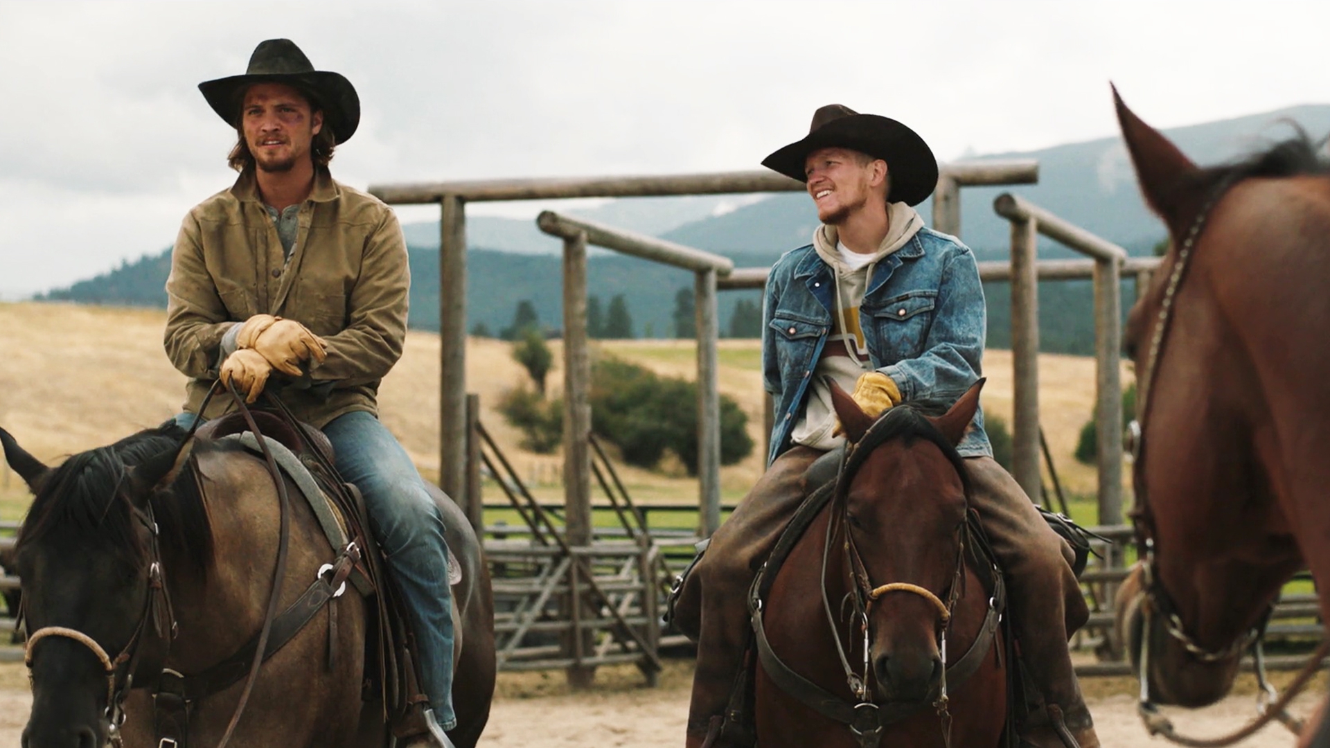 Watch Yellowstone Season 2 Online | Stream TV Shows | Stan