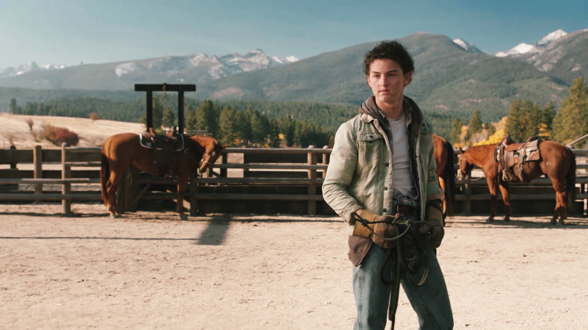 Watch Yellowstone Season 2 Online | Stream TV Shows | Stan