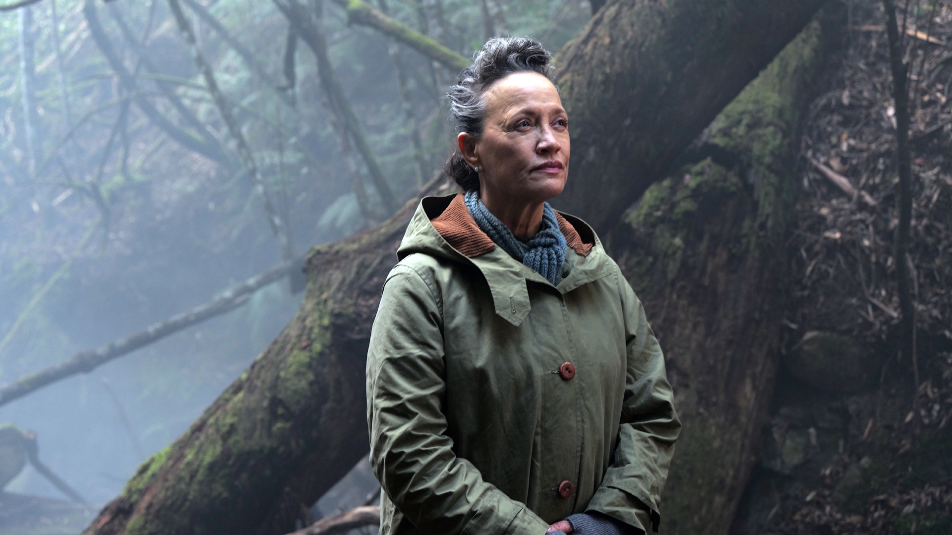 Watch The Gloaming Online | Now Streaming | Stan Originals.