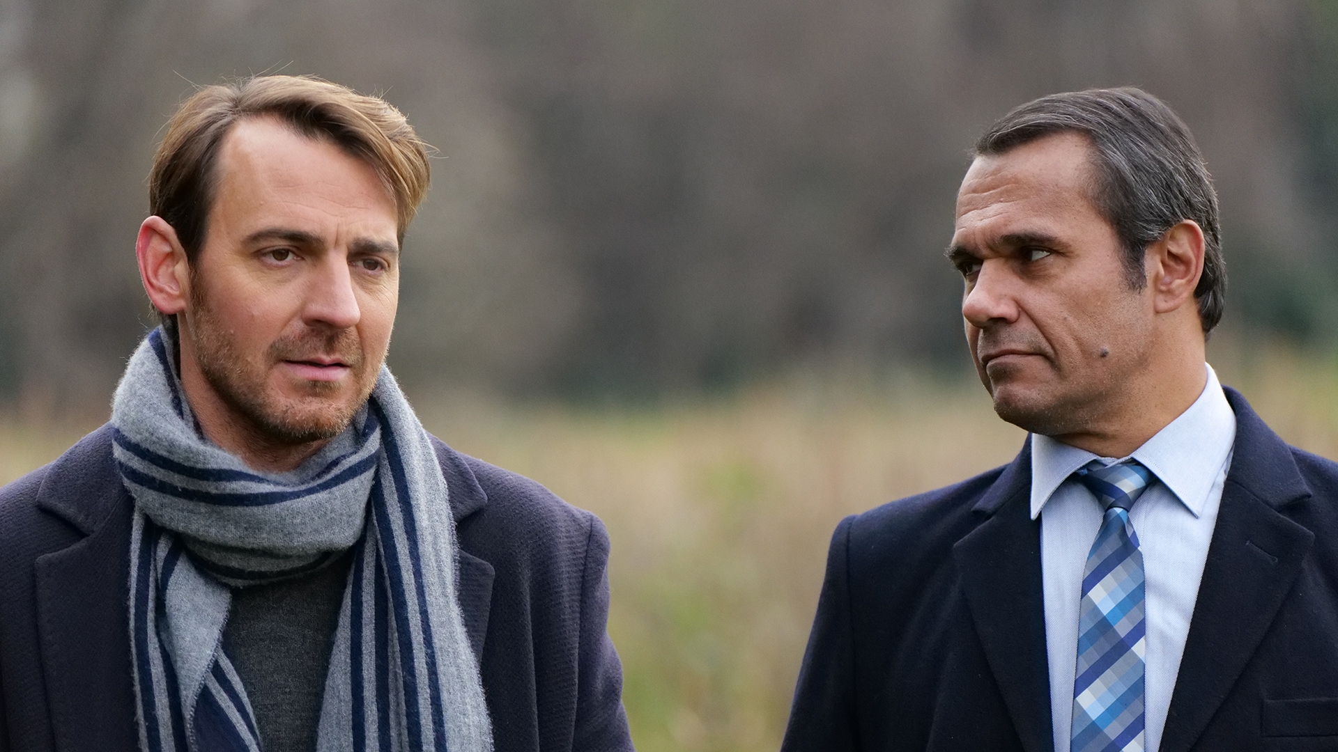 Watch The Gloaming Online | Now Streaming | Stan Originals.