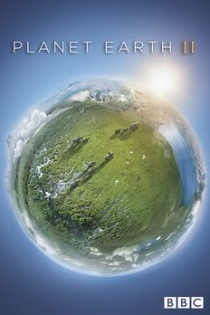 Watch Planet Earth 2 Online | Now Streaming