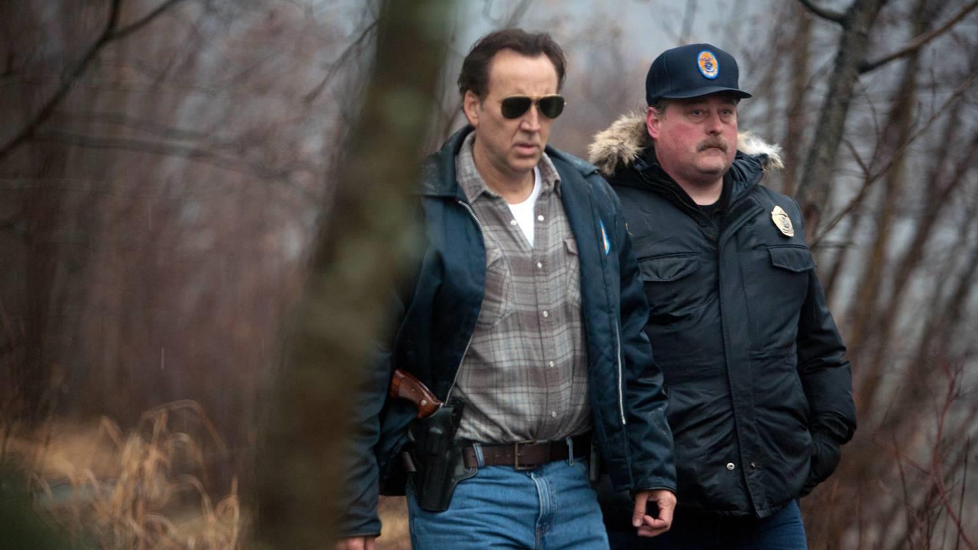 Stream The Frozen Ground Online | Download and Watch HD Movies | Stan