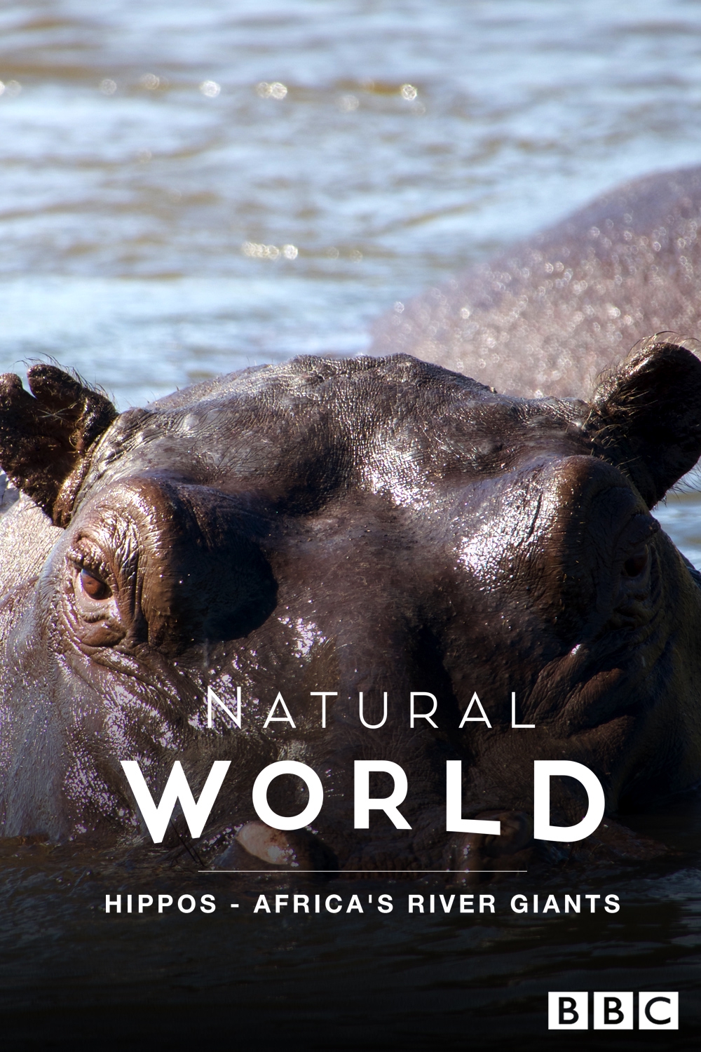 Watch Documentary Films Online | Stan