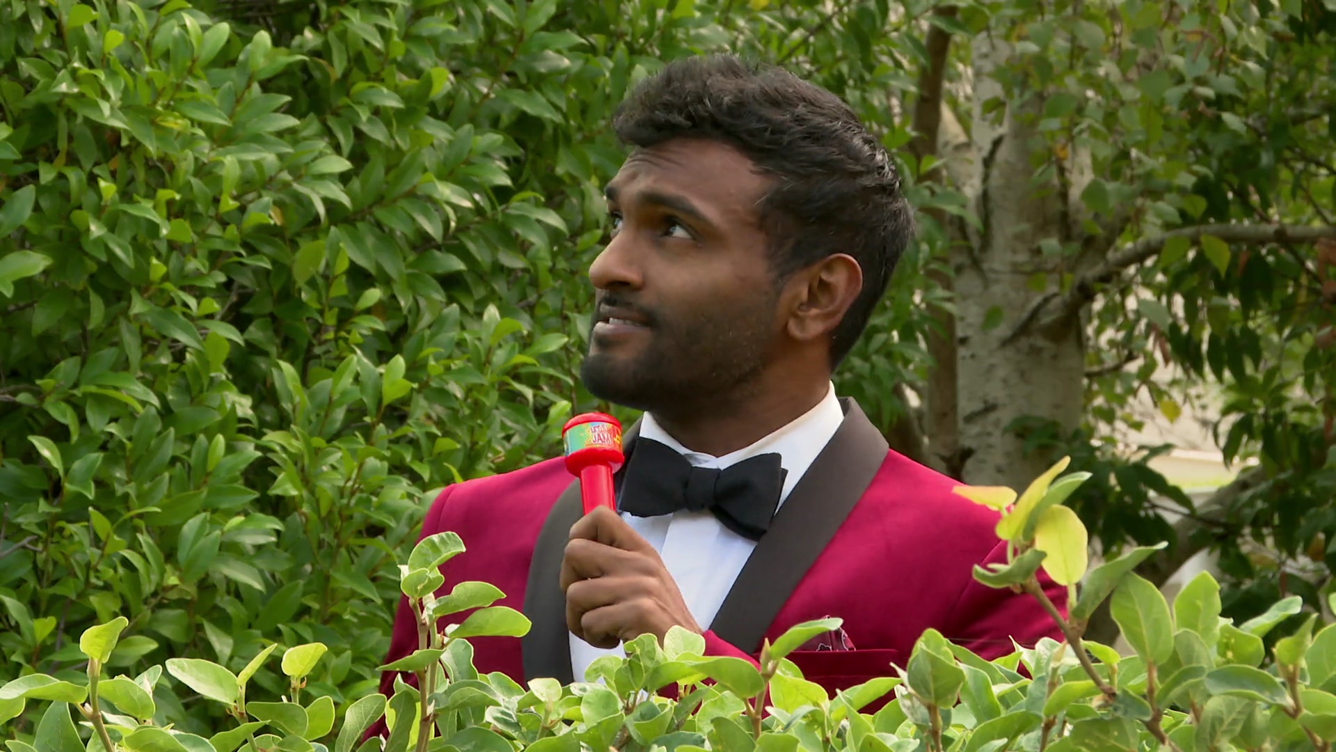 Watch Australian Lockdown Comedy Festival | Stan Originals.