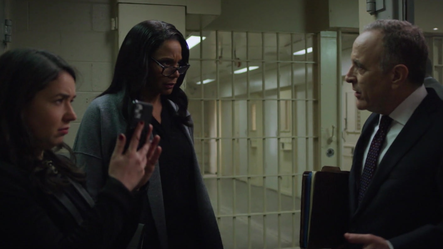 Watch The Good Fight Season 4 Online | Stream TV Shows | Stan
