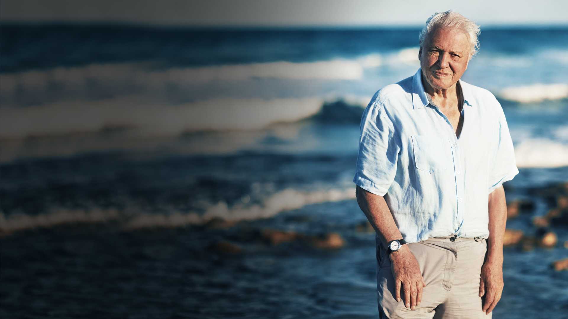 Watch Blue Planet II Online | Stream Season 1 Now | Stan