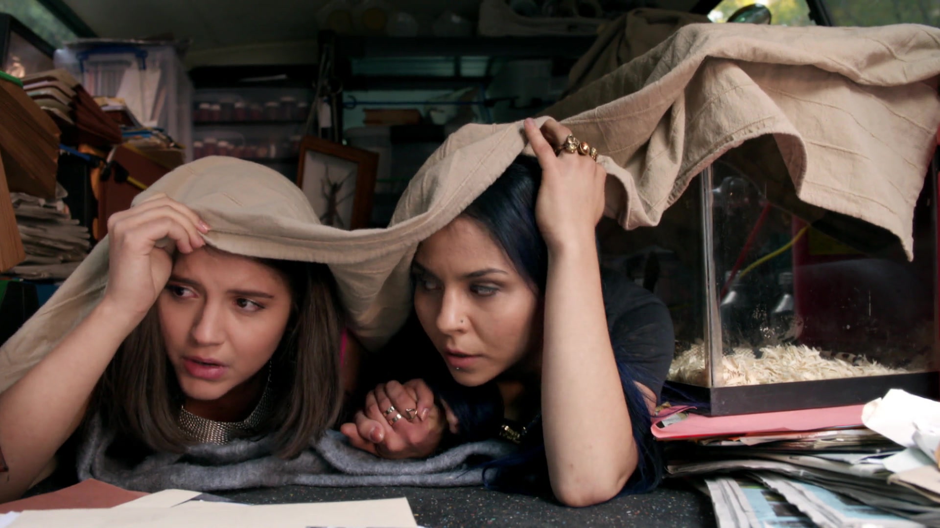 Watch Degrassi: The Next Generation Season 14 Online | Stream TV Shows ...