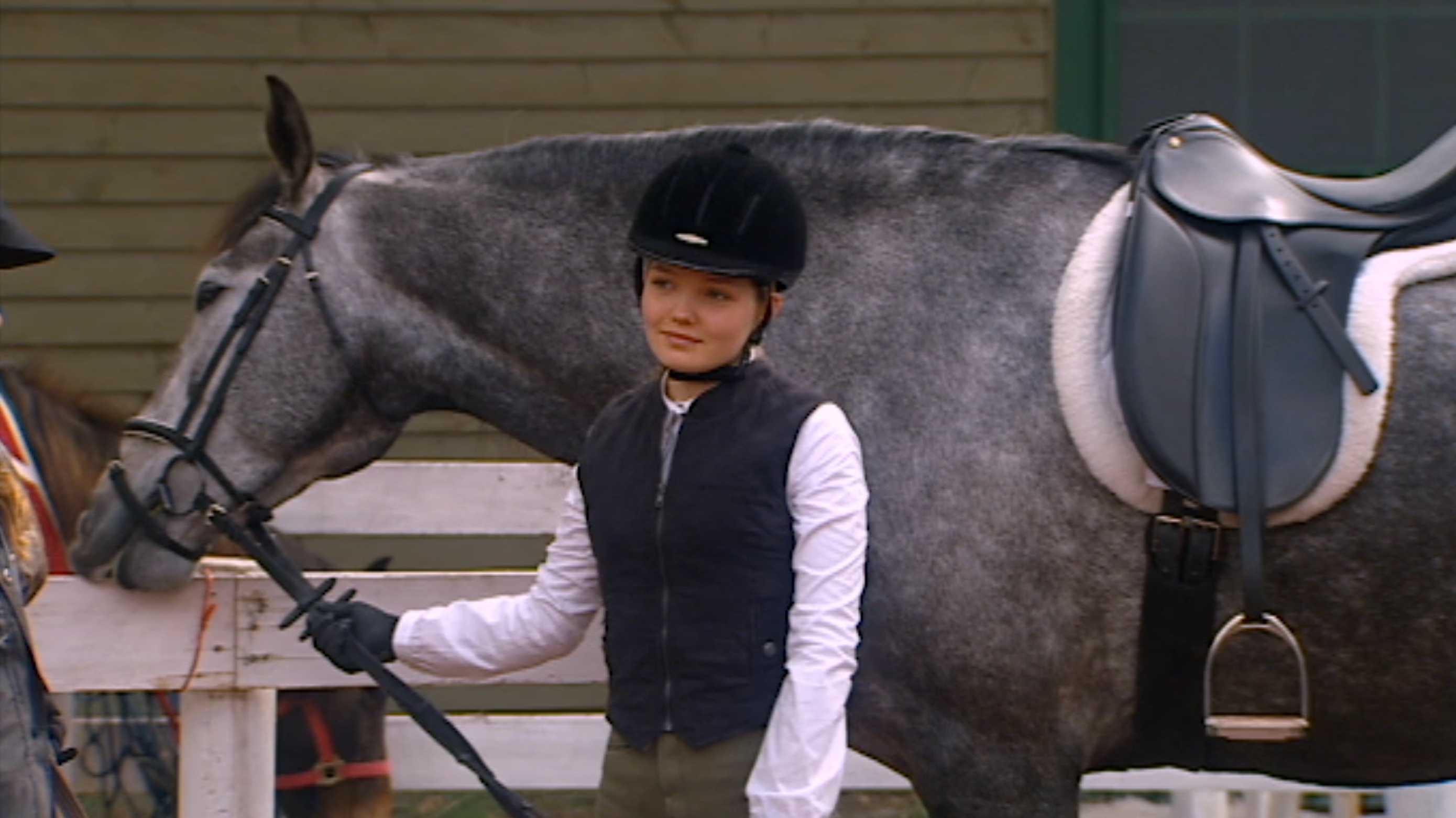 Watch The Saddle Club Season 2 Online | Stream TV Shows | Stan