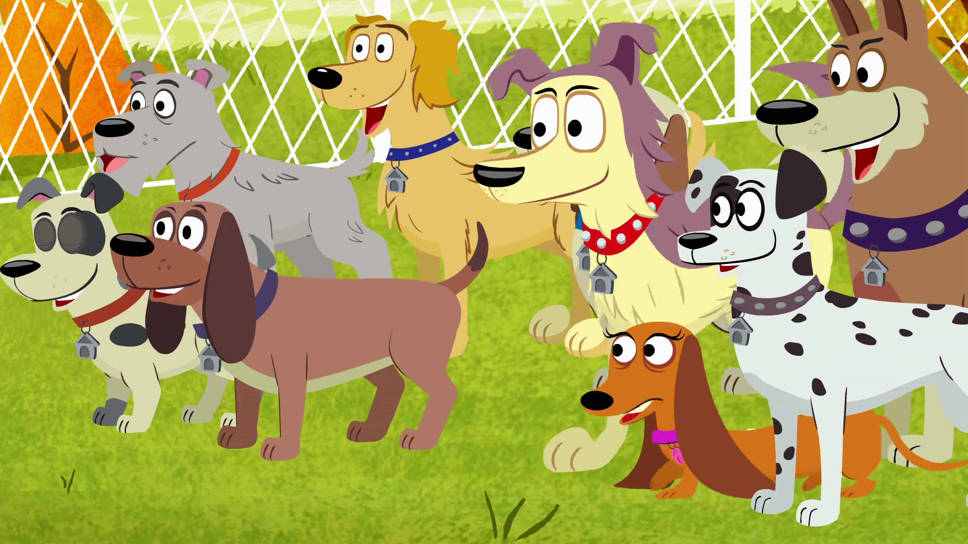 Watch Pound Puppies Online | Stream Seasons 1-3 Now | Stan