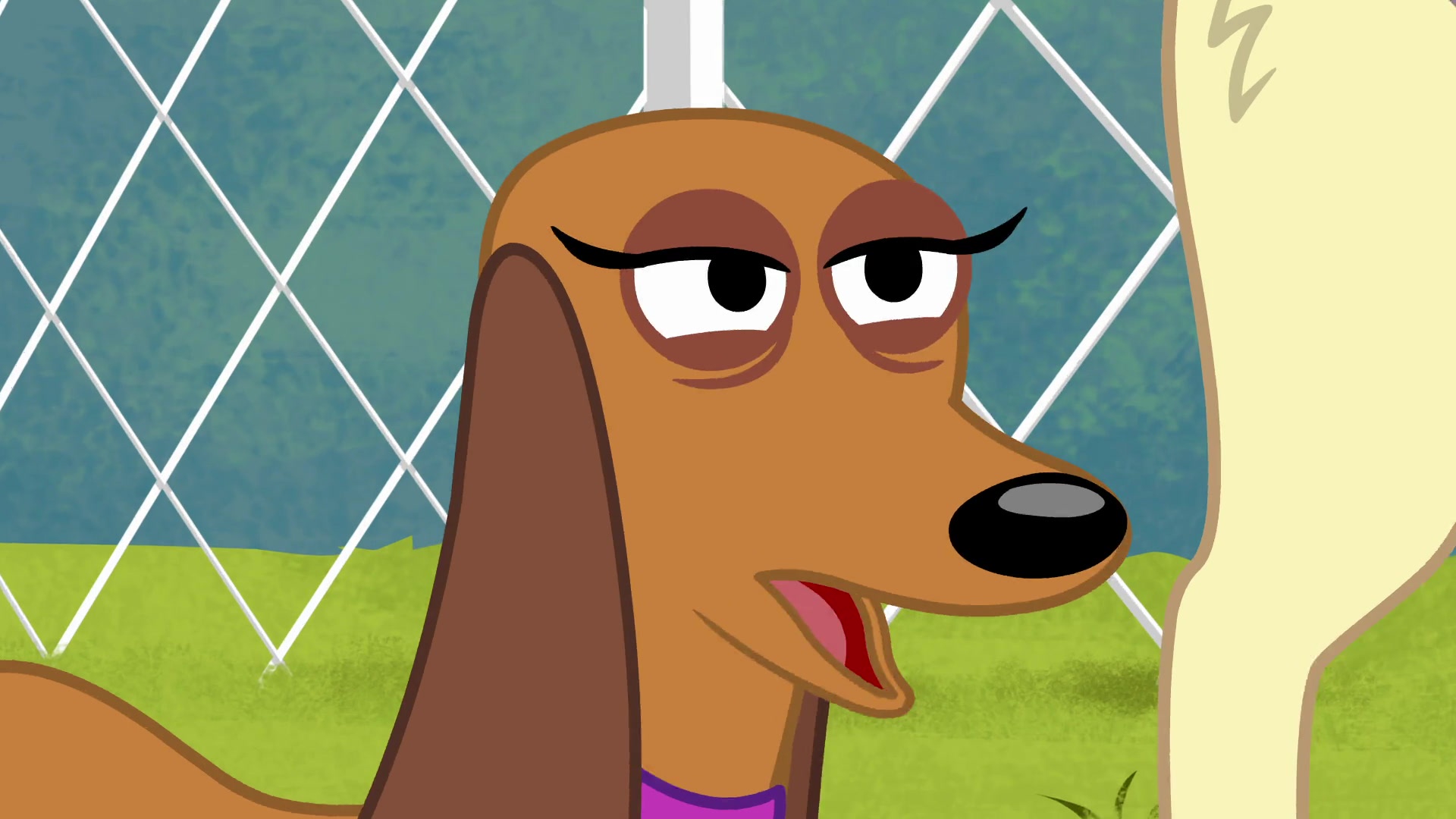 Watch Pound Puppies Season 2 Online | Stream TV Shows | Stan