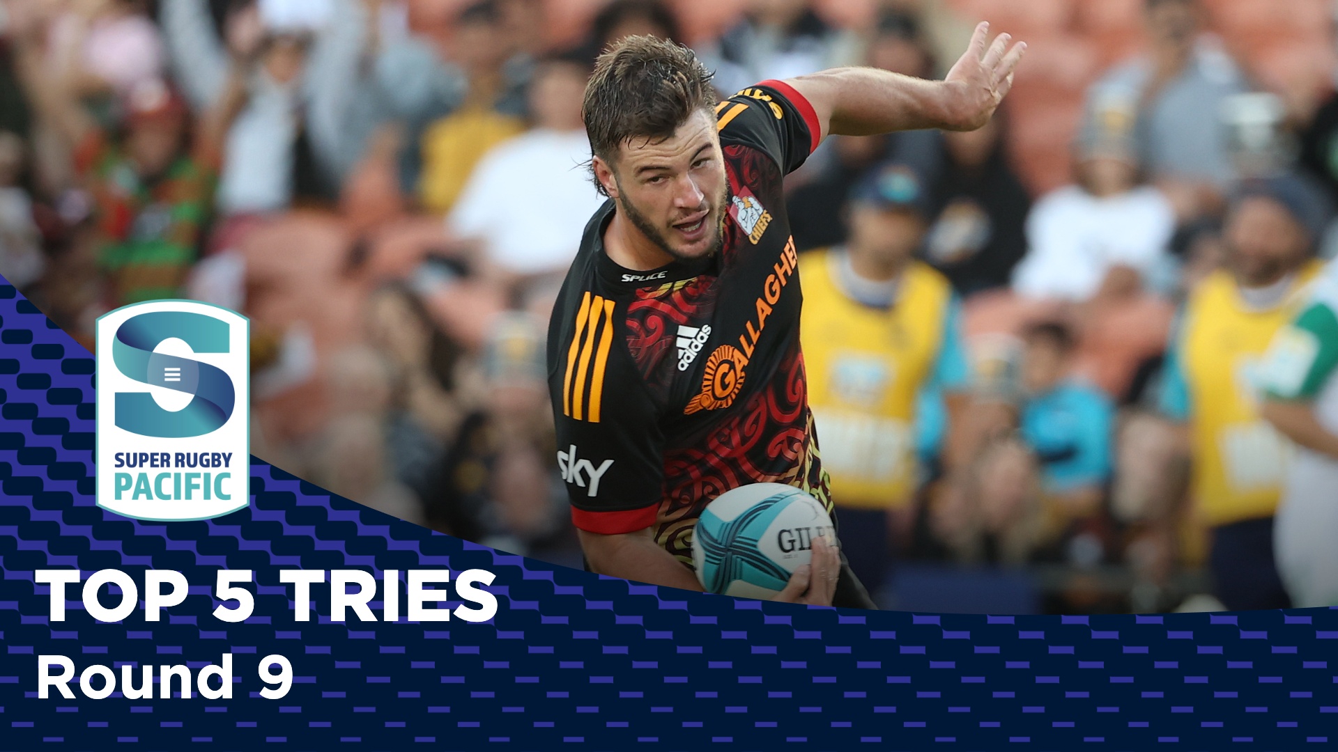 Watch Rugby on Stan Sport