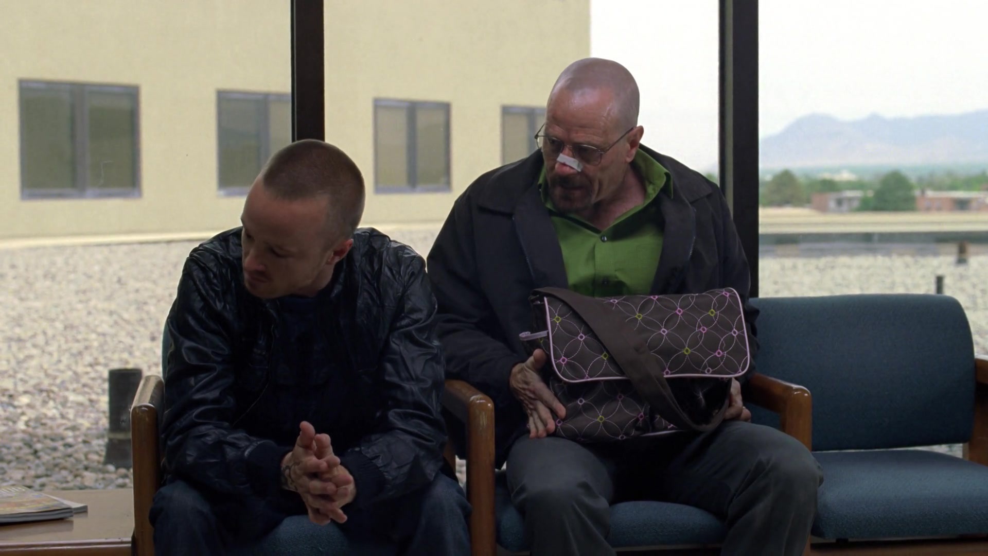 Watch Breaking Bad Season 4 Online | Stream TV Shows | Stan