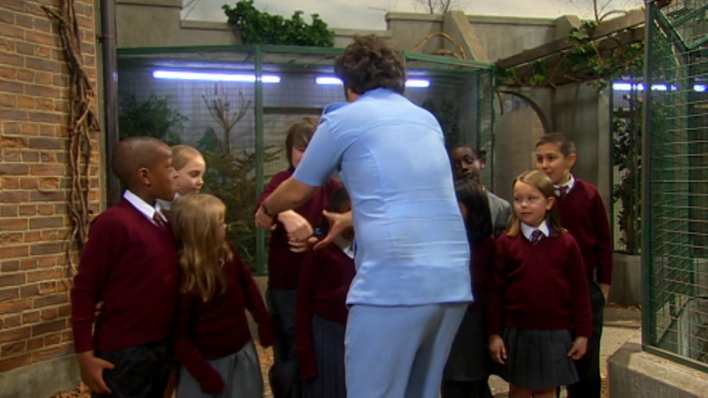 Watch The Mighty Boosh Online | Stream Seasons 1-3 Now | Stan