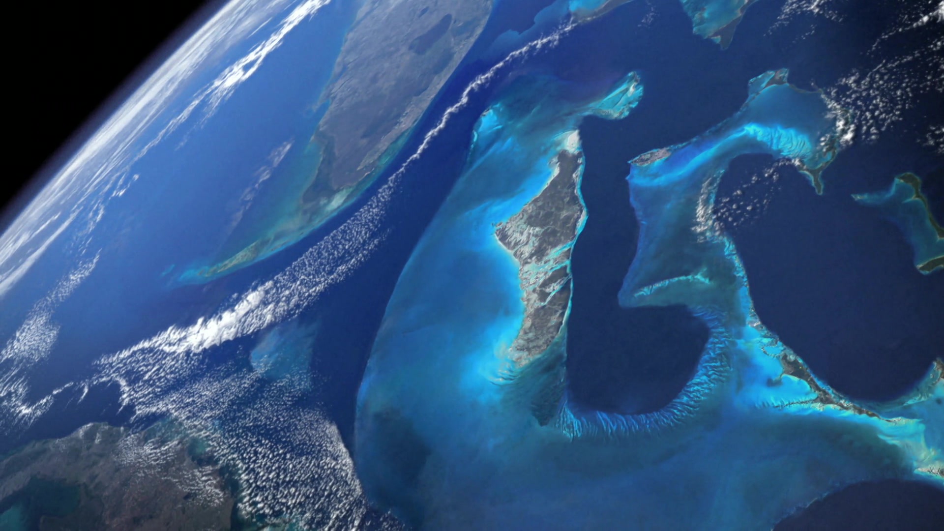 Watch Planet Earth Season 2 Online | Stream TV Shows | Stan