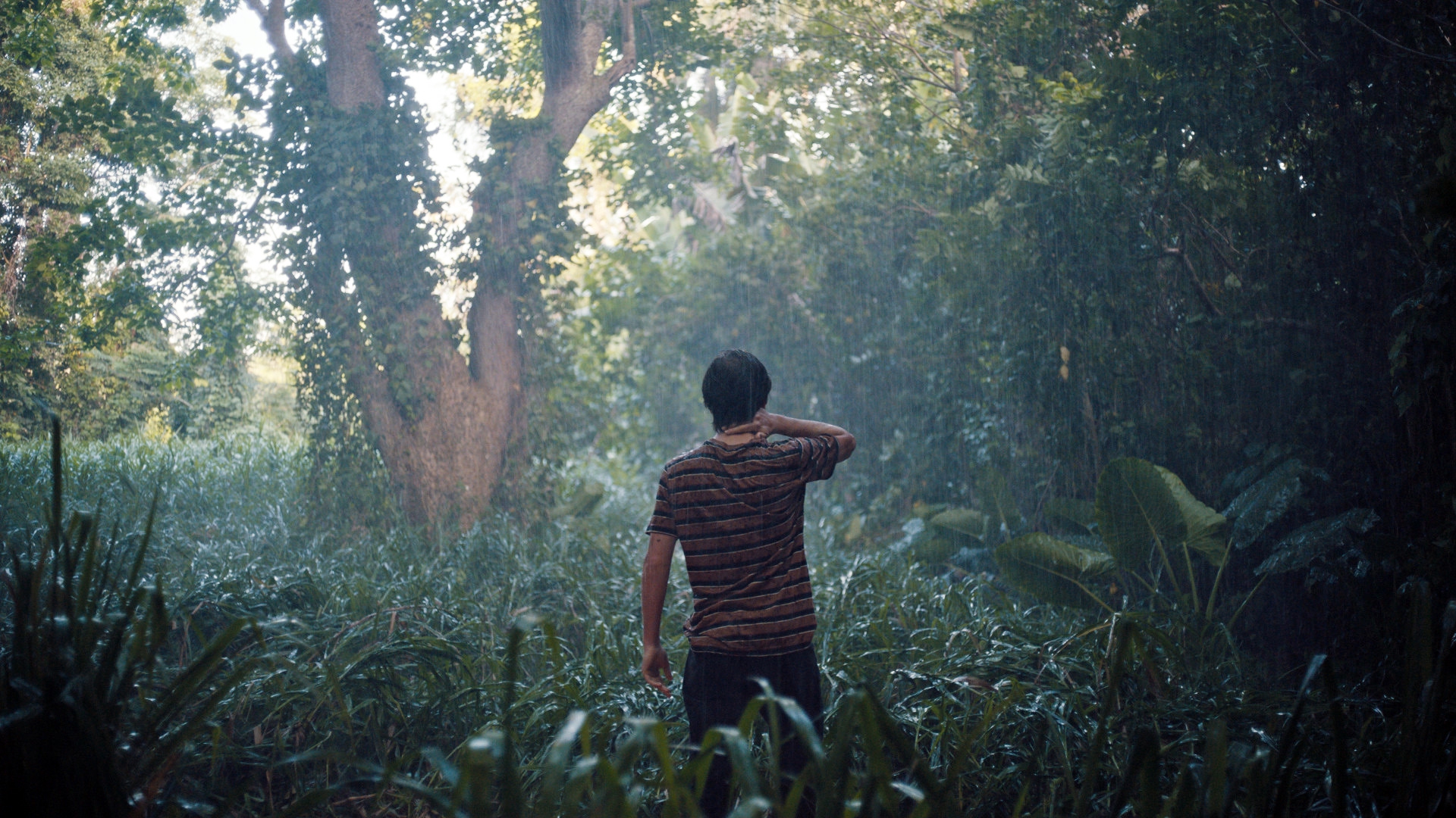 Watch The Resort TV Show | Now Streaming | Only on Stan.