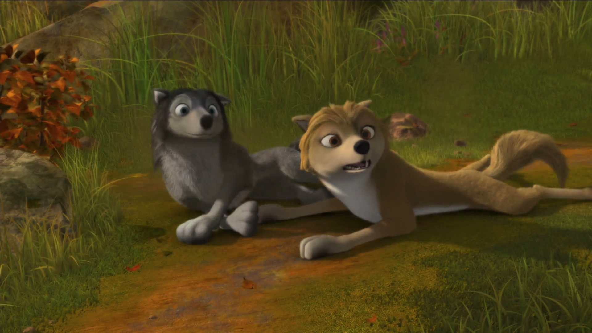 Stream Alpha and Omega Online | Download and Watch HD Movies | Stan