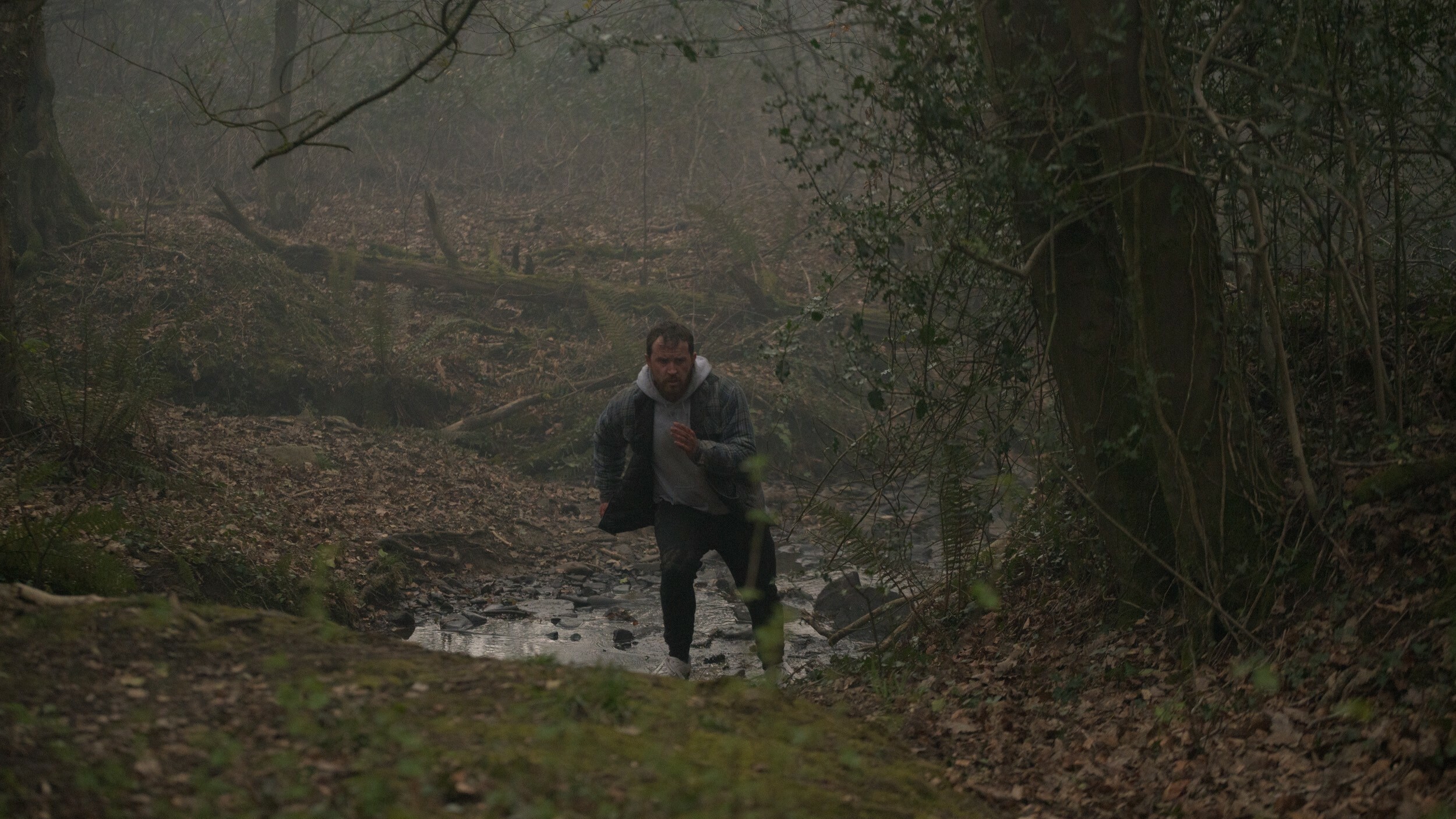 Watch Hidden Season 3 Online | Stream TV Shows | Stan