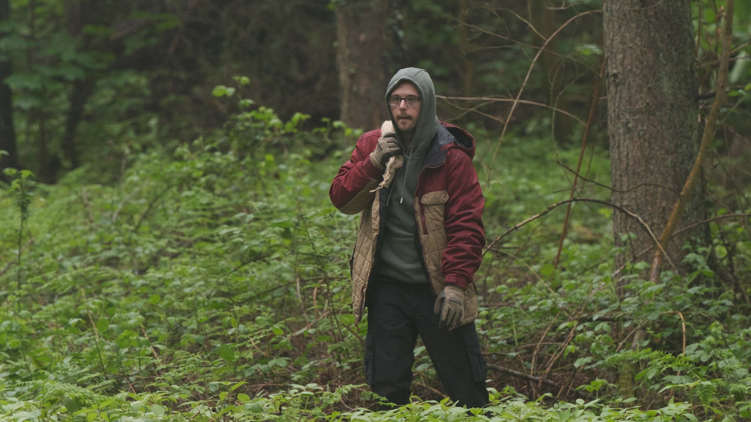 Watch Hidden Season 3 Online | Stream TV Shows | Stan