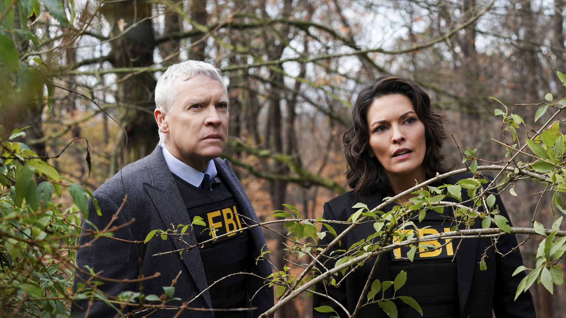 Watch FBI Online | Stream Season 5 Now | Stan