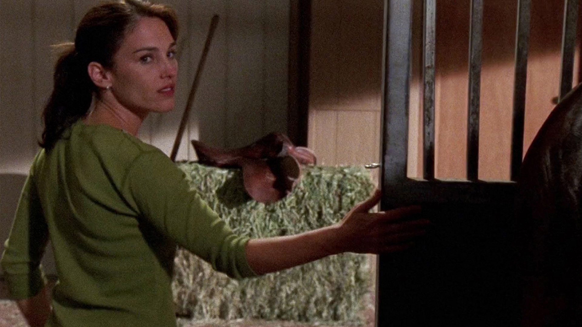 Watch Wildfire Online | Stream Seasons 1-4 Now | Stan