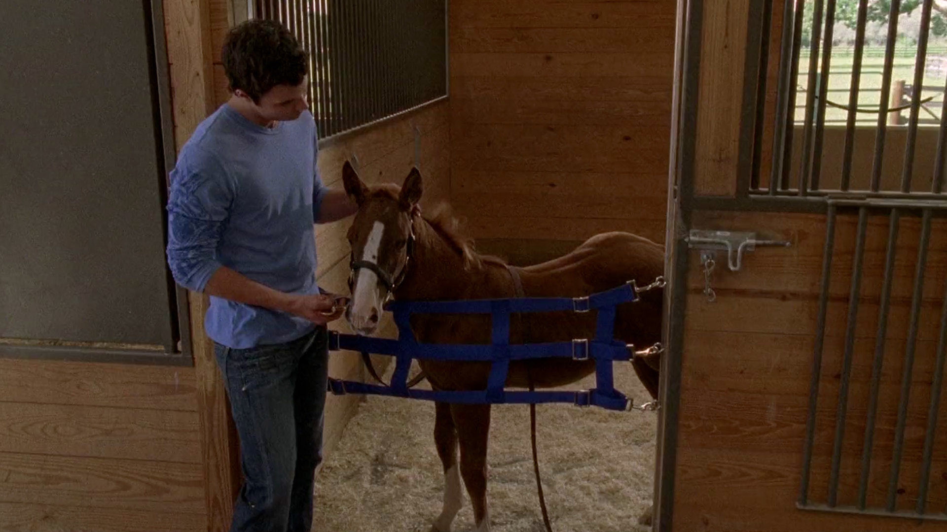 Watch Wildfire Season 3 Online | Stream TV Shows | Stan