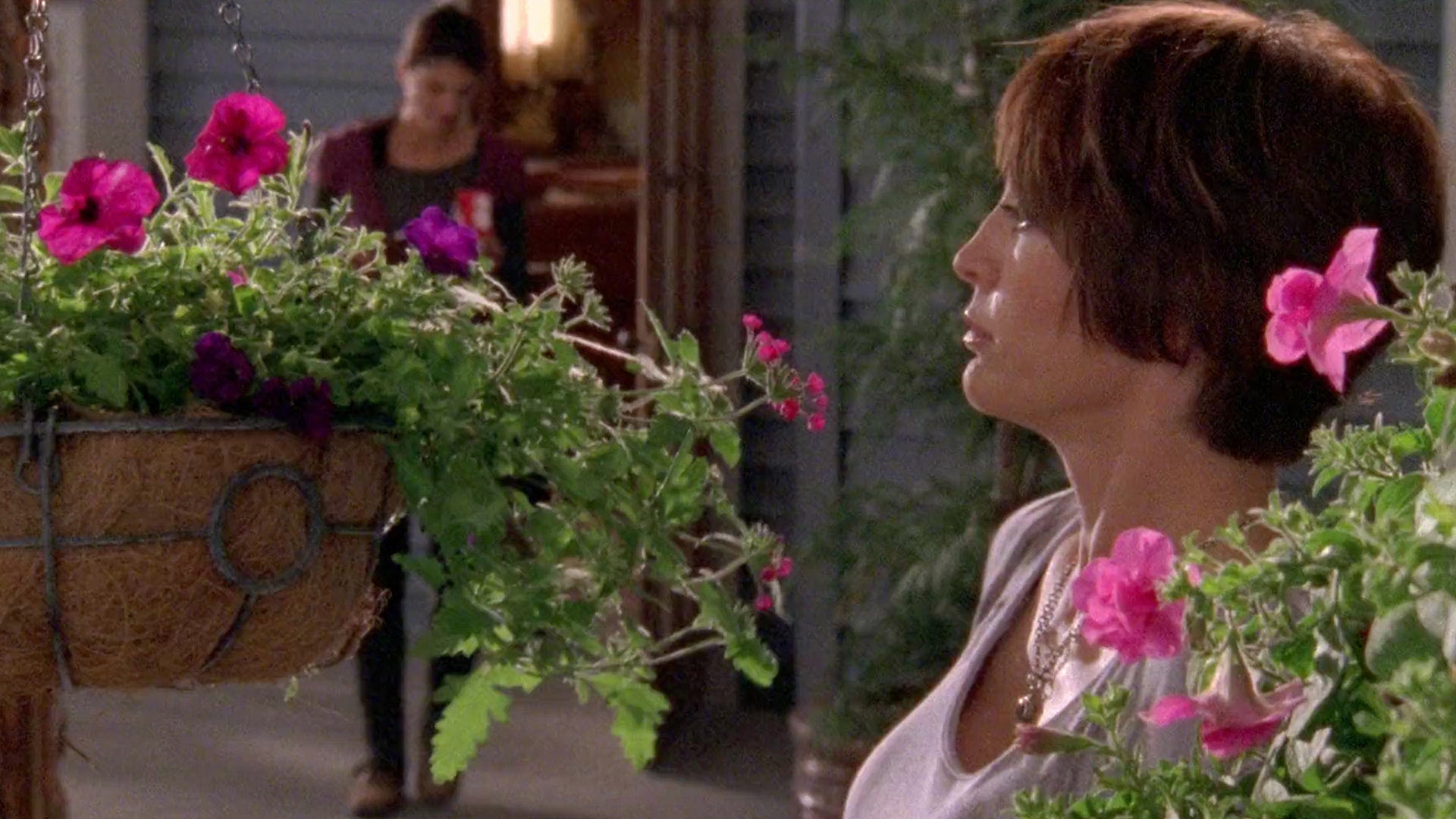 Watch Wildfire Season 3 Online | Stream TV Shows | Stan