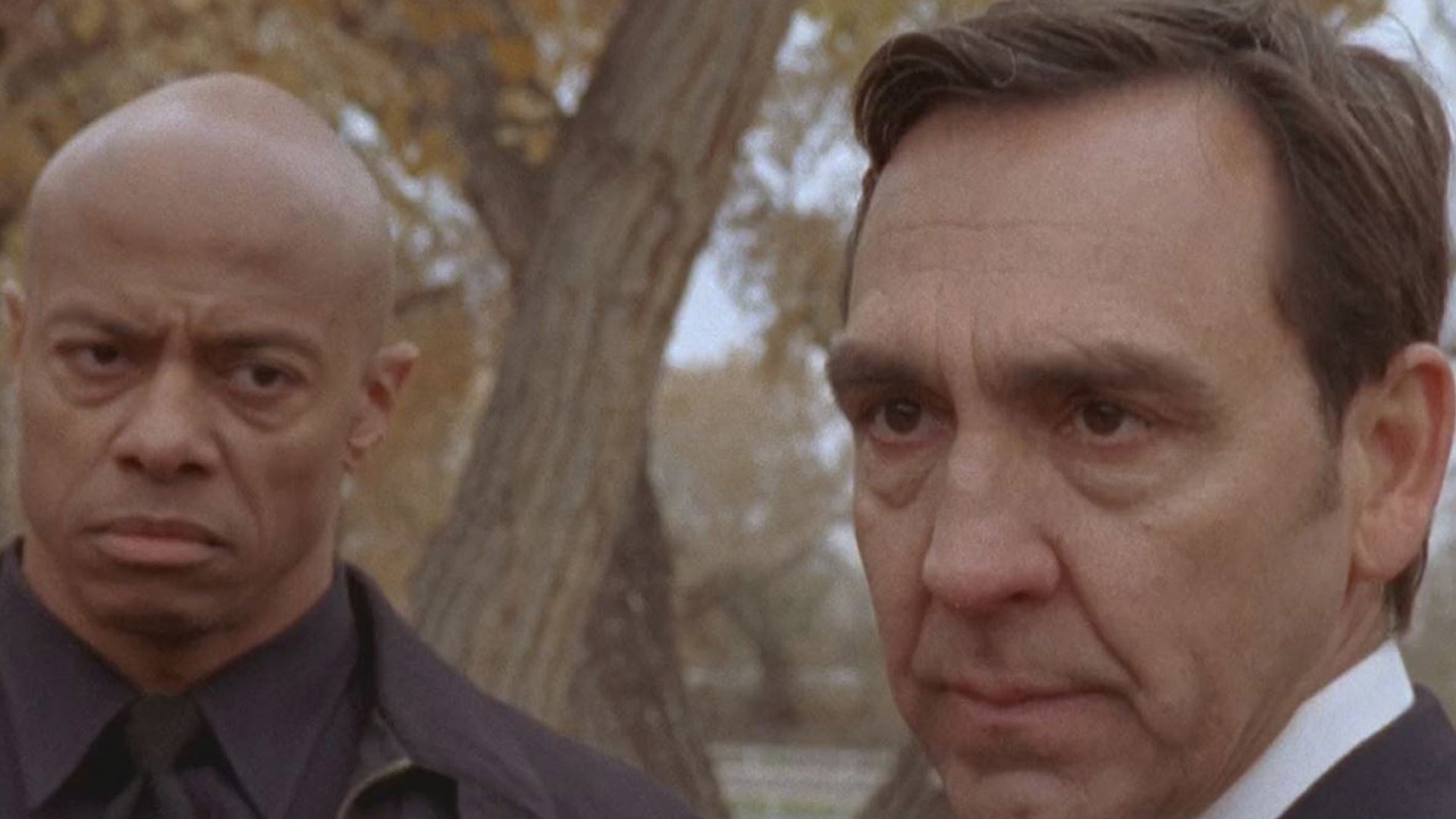 Watch Wildfire Season 3 Online | Stream TV Shows | Stan