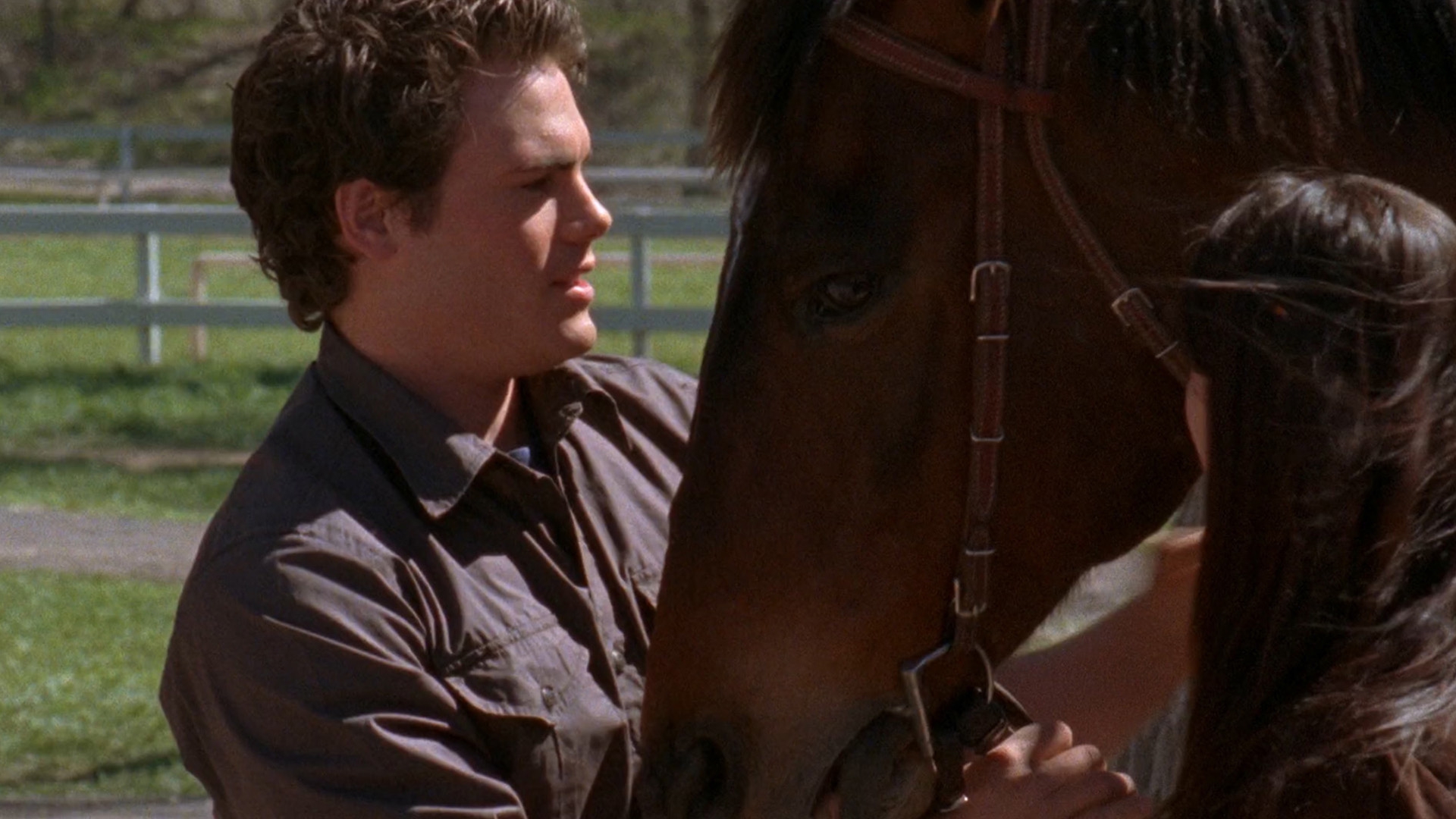 Watch Wildfire Season 4 Online | Stream TV Shows | Stan