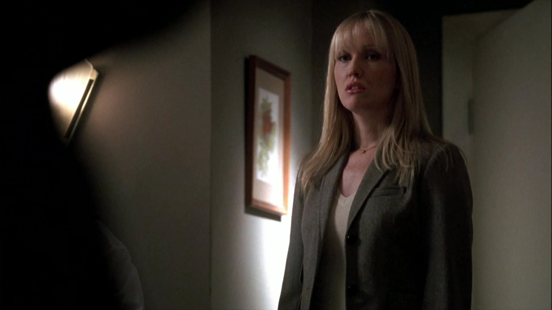 Watch The West Wing Season 7 Online | Stream TV Shows | Stan