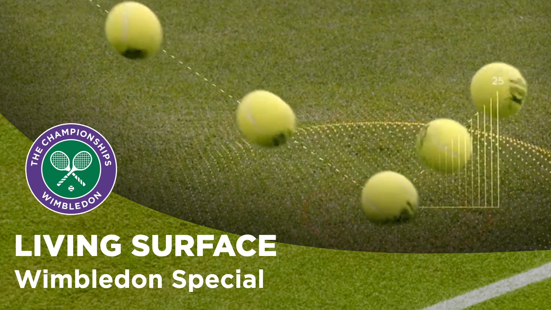 Watch Wimbledon 2024 | Live, Ad-Free, On Demand | Stan Sport