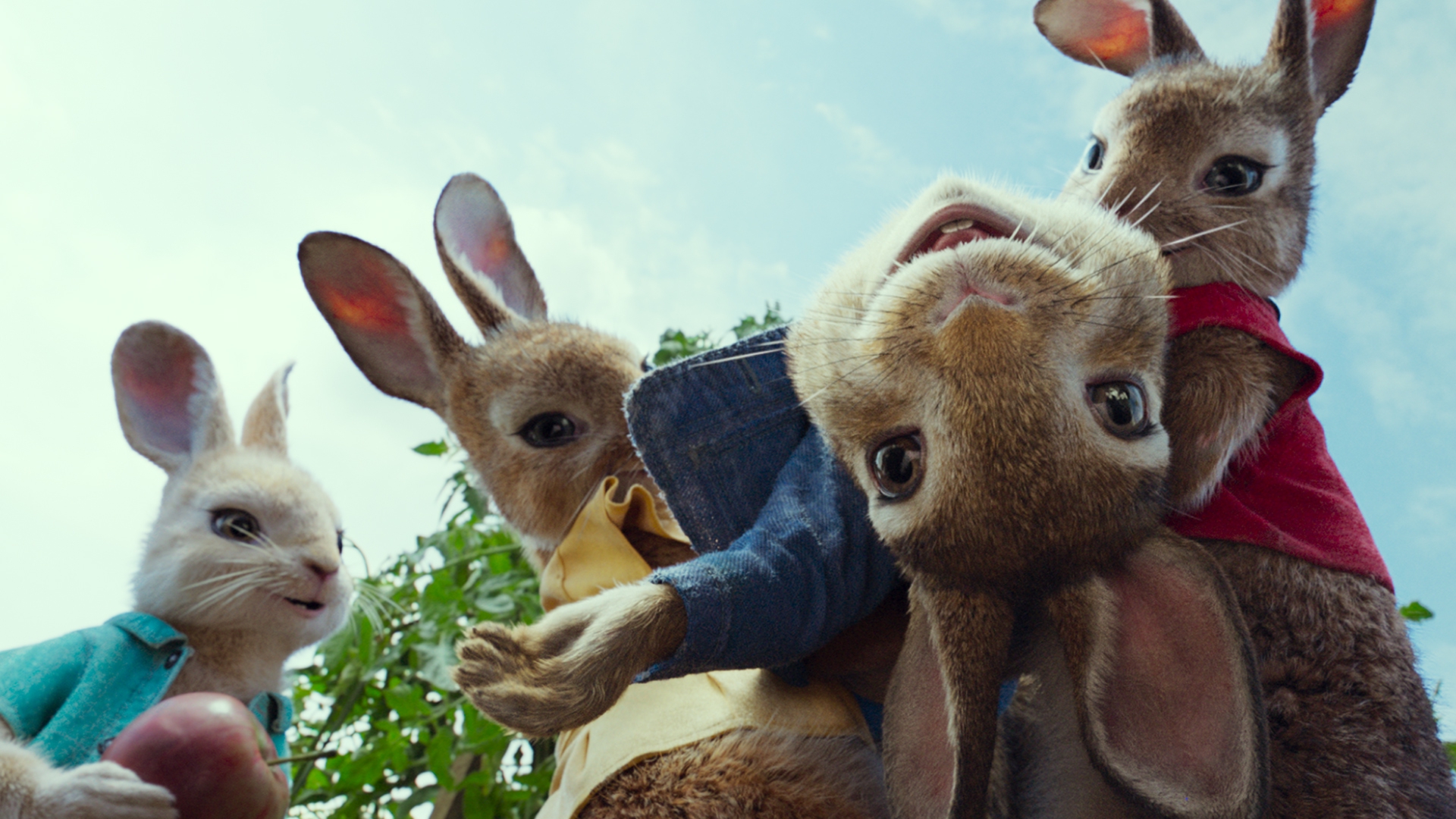 Stream Peter Rabbit (2018) Online | Download and Watch HD Movies | Stan