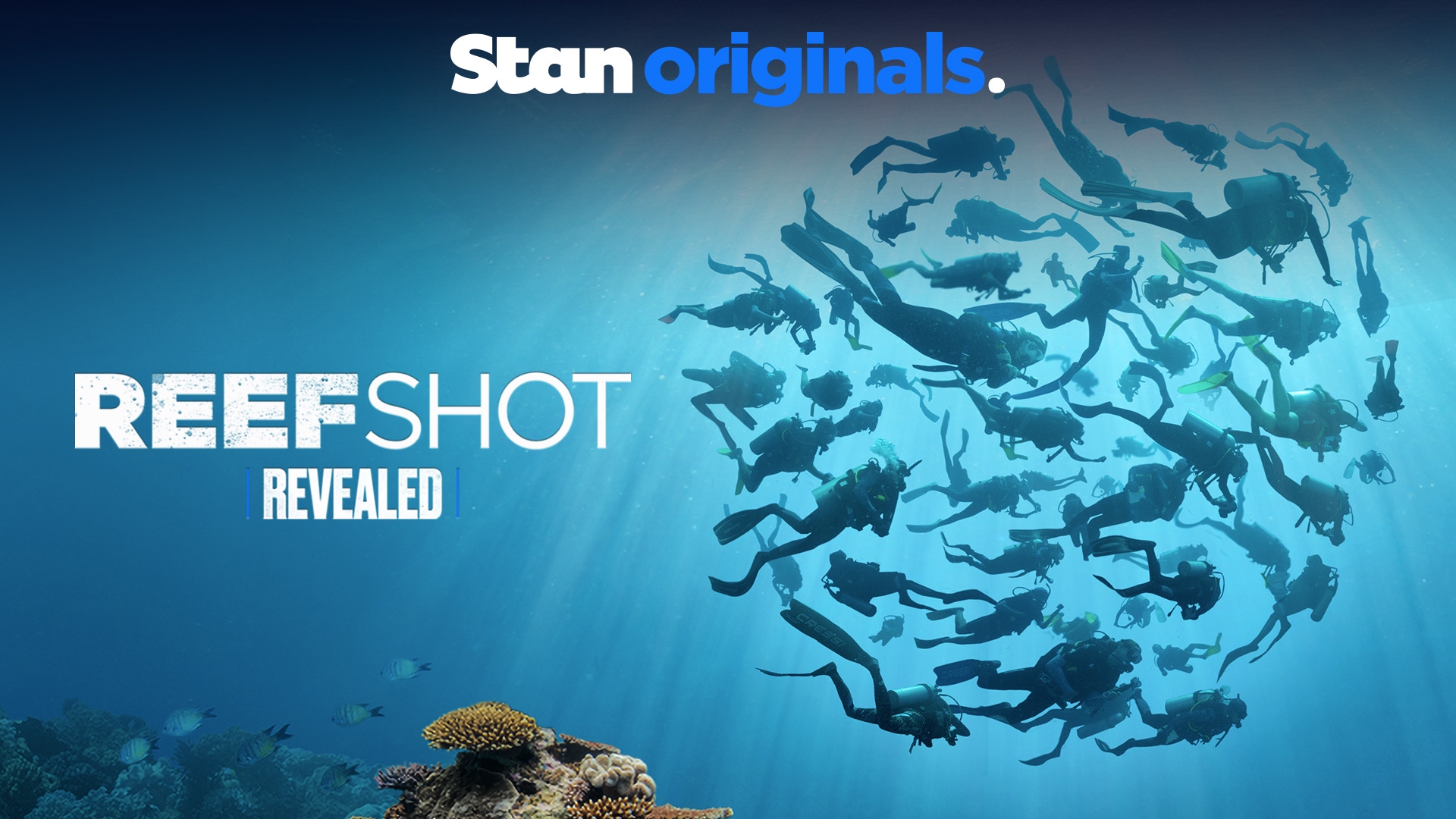 Revealed: Reefshot | Now Streaming | Stan Originals.