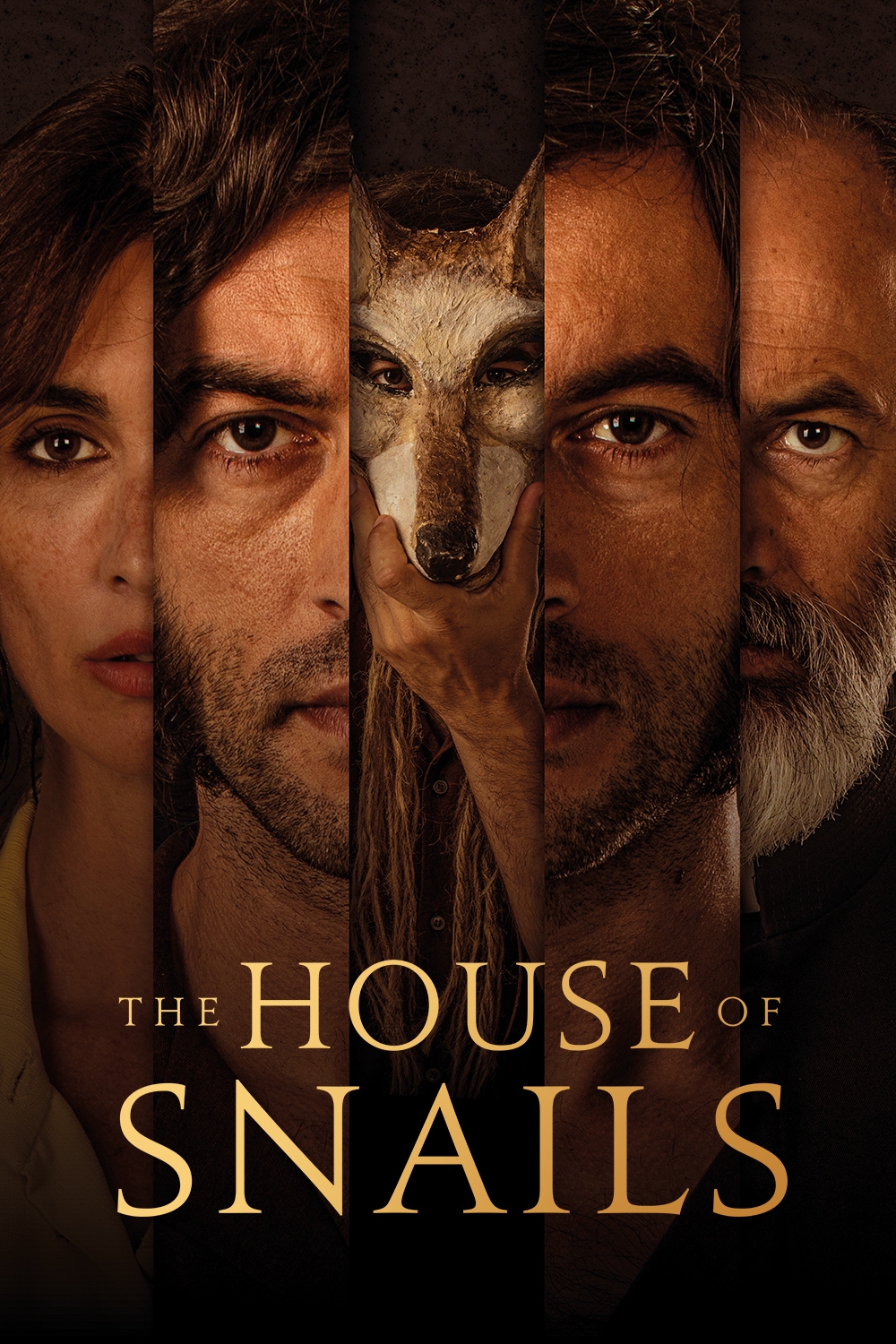 Watch Foreign Language TV Shows & Movies Online | Stan