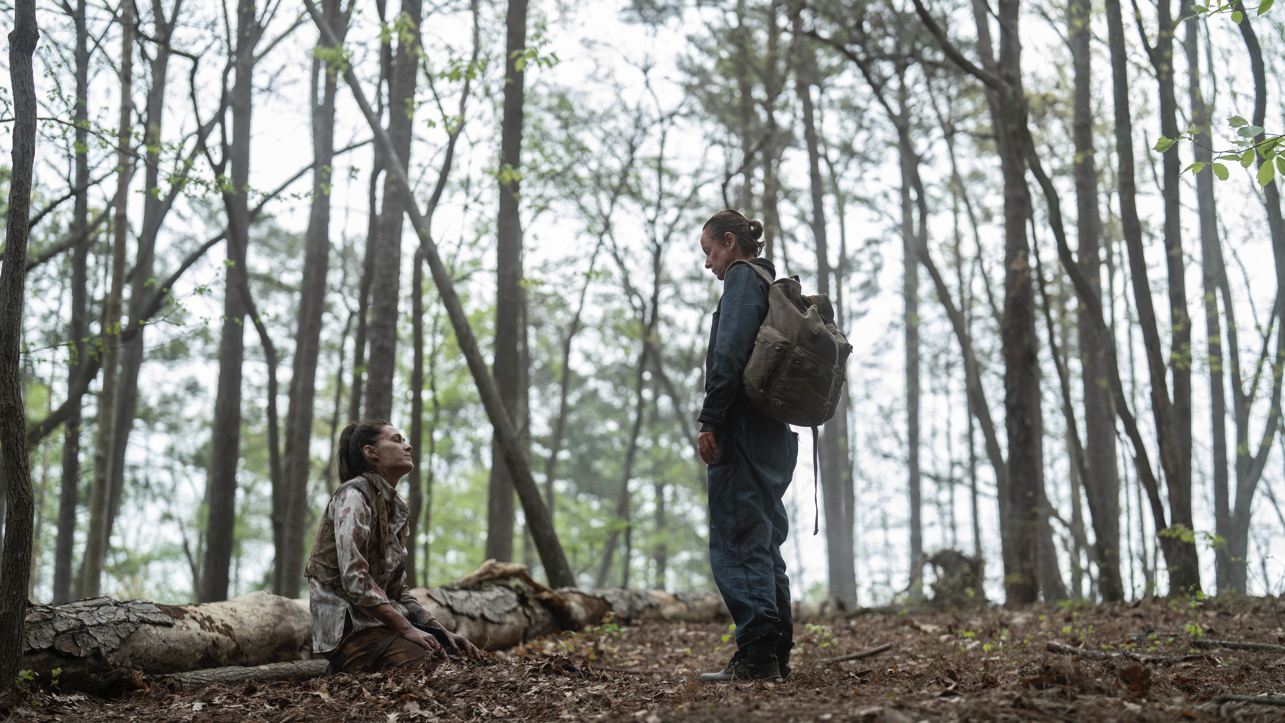 Watch Tales of The Walking Dead Online | Stream Season 1 Now | Stan