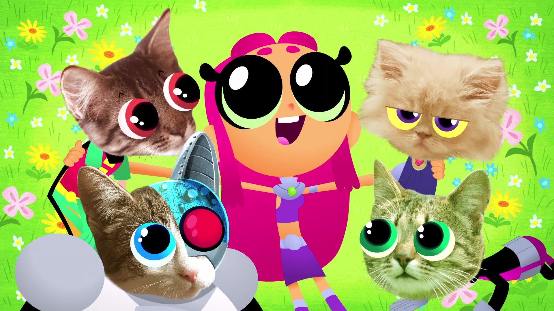 Watch Teen Titans Go! Online | Stream Seasons 1-4 Now | Stan